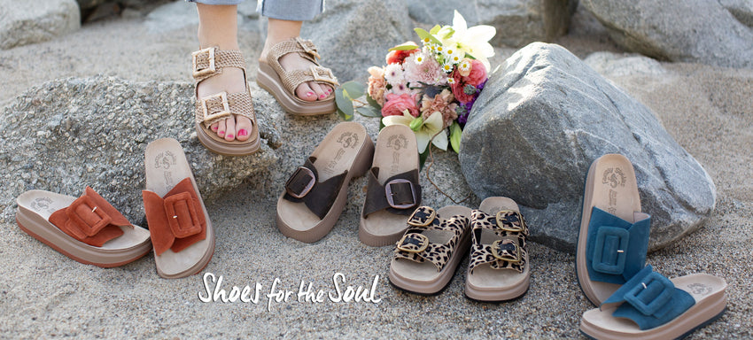 Shoes for the Soul